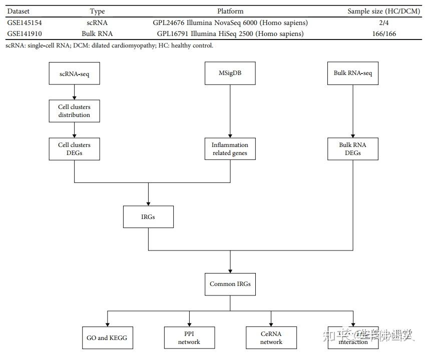 最新7+非肿瘤纯生信，单细胞结合bulk - 知乎