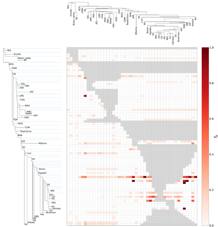 2023-03-21 | Dsuite做D及f4-ratio统计量 - 知乎