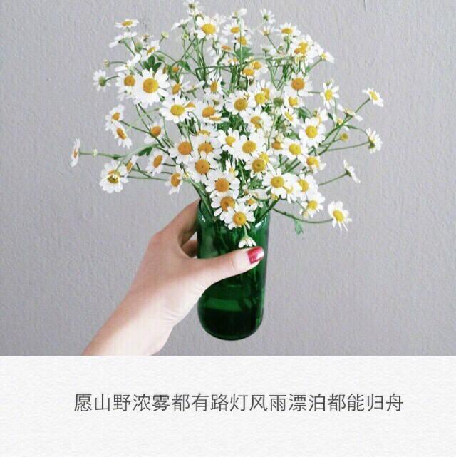 好像对他动了不该动的心思,怎么办 知乎