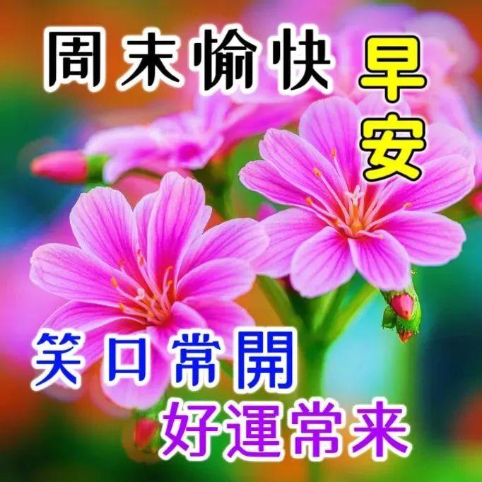 2023年6月17日周六早上好,早安周末创意 知乎