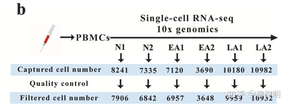 一个10x单细胞转录组项目从fastq到细胞亚群 - 知乎