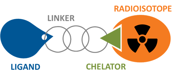 放射性核素偶联药物RDC-13 化学 – 偶联/螯合（标记） - 知乎