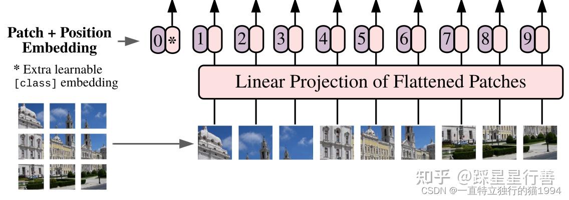 Vision Transformer (ViT) 代码实现PyTorch版本 - 知乎