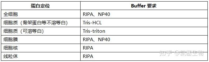 干货丨WB(Western blotting)-疑难靶点指南篇 - 知乎