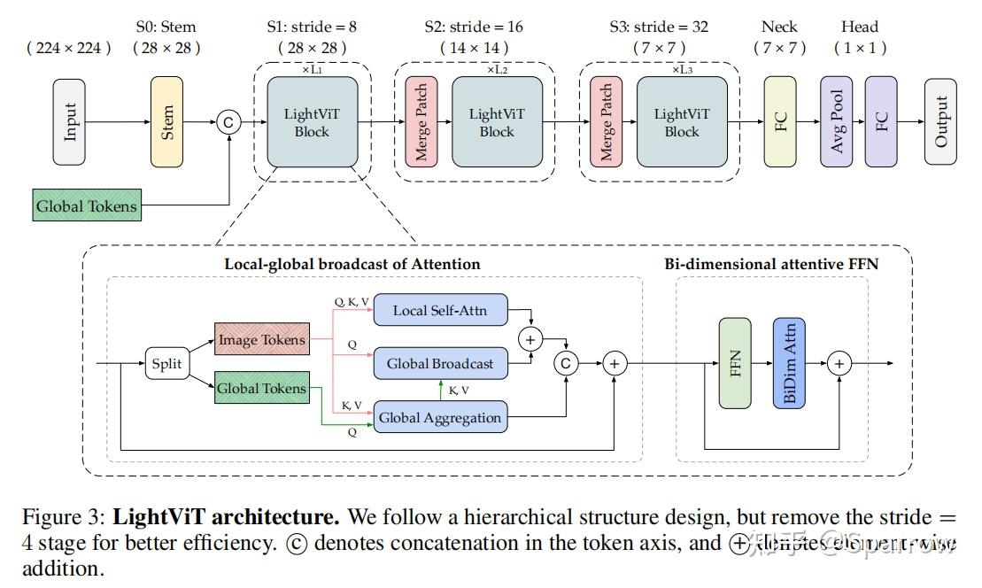 LightViT: Towards Light-Weight Convolution-Free Vision Transformers - 知乎