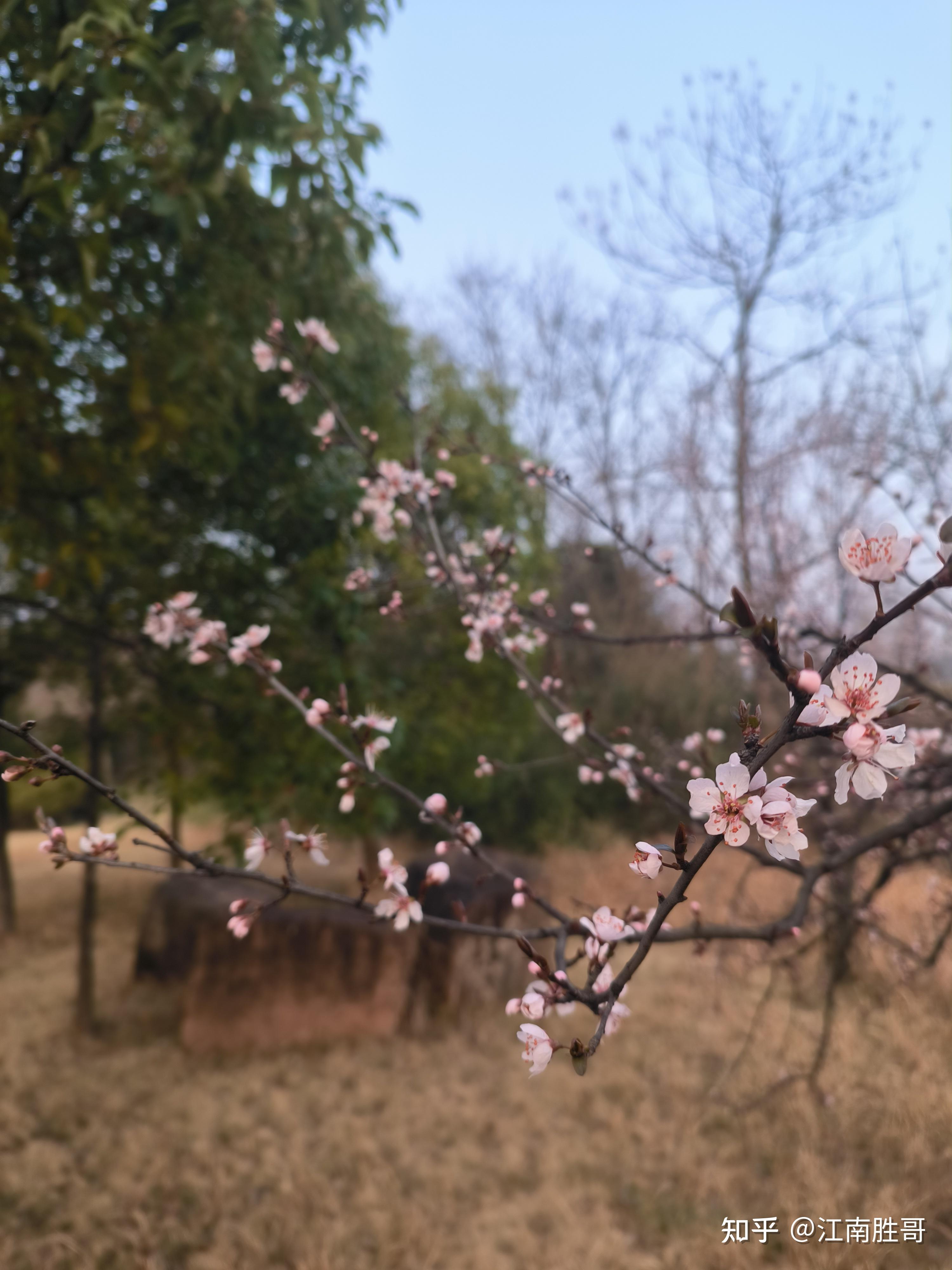 英语中，it remains to be seen这个短语中，to be seen作什么成分？ - 知乎