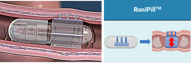 上下而求索-口服多肽发展之路 - 知乎
