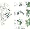 Diffusion+AlphaFold3--实验引导的蛋白质结构的生成框架 - 知乎