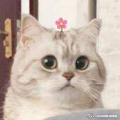 读取文件SyntaxError: (unicode error) 'unicodeescape' codec can't decode ...