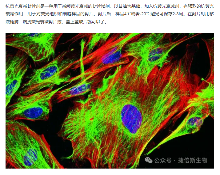 抗荧光衰减封片剂（含DAPI）和不含DAPI的区别 - 知乎
