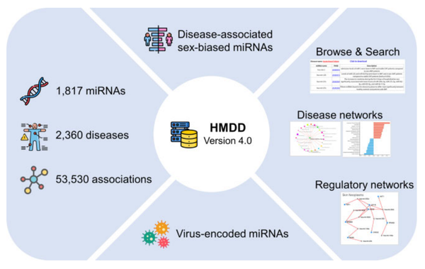 HMDD 4.0：miRNA-疾病关系数据库 - 知乎
