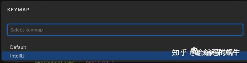 JetBrains Fleet初体验，如何运行一个java项目 - 知乎