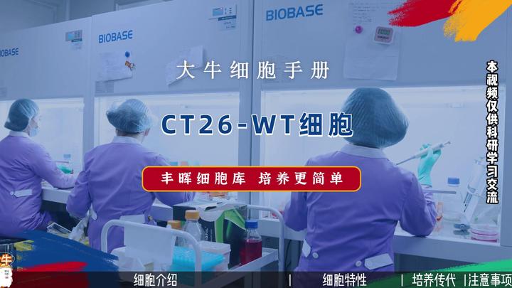 CT26-WT细胞培养，小鼠结肠癌细胞培养攻略-丰晖生物 - 知乎