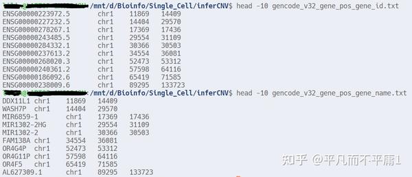InferCNV 的 Gene ordering file 输入文件制作 - 知乎
