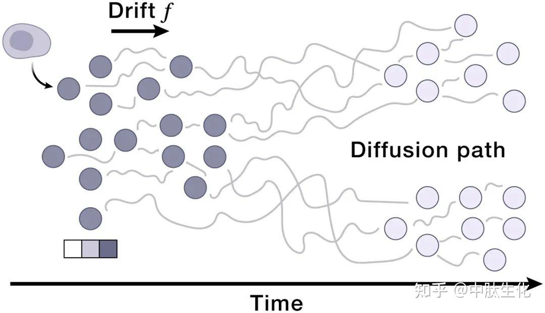Cell：如何利用人工智能构建虚拟细胞？ - 知乎