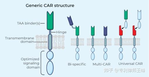 Century公司（Century Therapeutics）iPSC诱导多能干细胞专利技术分析 - 知乎
