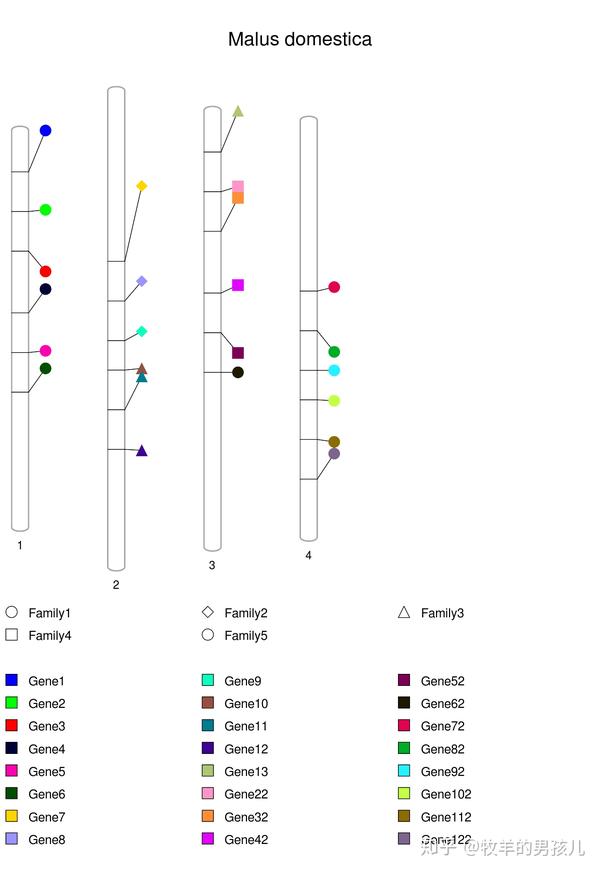 文献笔记二十一：PhenoGram可视化染色体上的信息 - 知乎