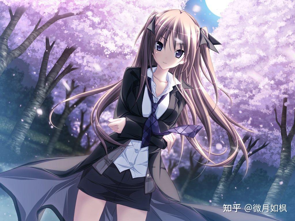 galgame演出论的备忘录【Ⅰ章3节】：Purple software(紫社)的动态演出与宽屏广角化论述 - 知乎