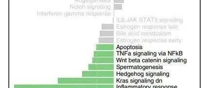 scRNA分析|单细胞GSVA + limma差异分析-celltype分组？样本分组？ - 知乎