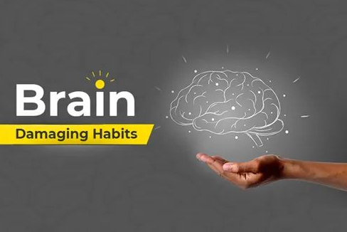 10 Habits That Damage Your Brain - 知乎