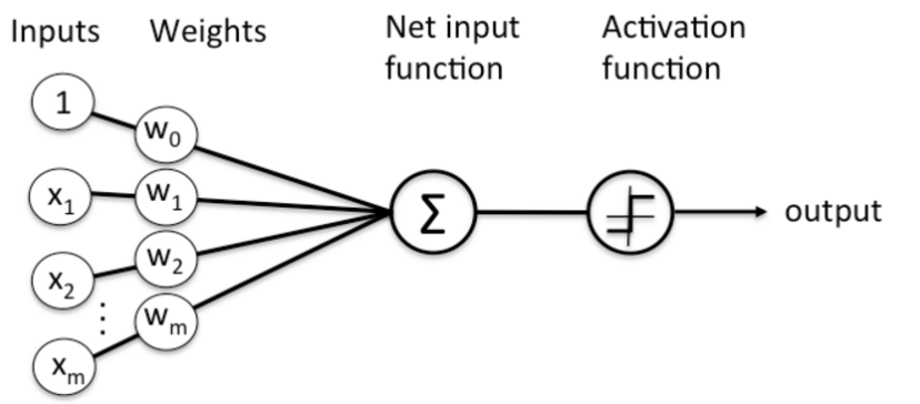 ResNeXt——与 ResNet 相比，相同的参数个数，结果更好：一个 101 层的 ResNeXt 网络，和 200 层的 ResNet ...