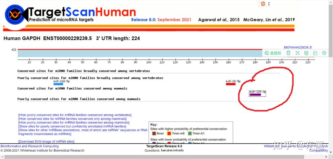 如何预测miRNA的靶基因（TargetScan） - 知乎
