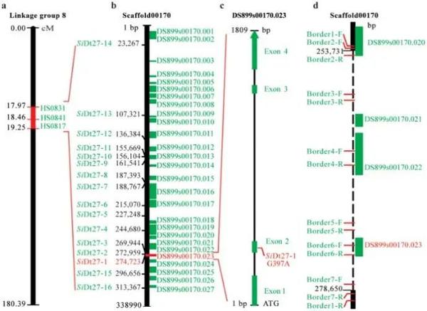 干货！盘点不同群体的遗传图谱构建 - 知乎