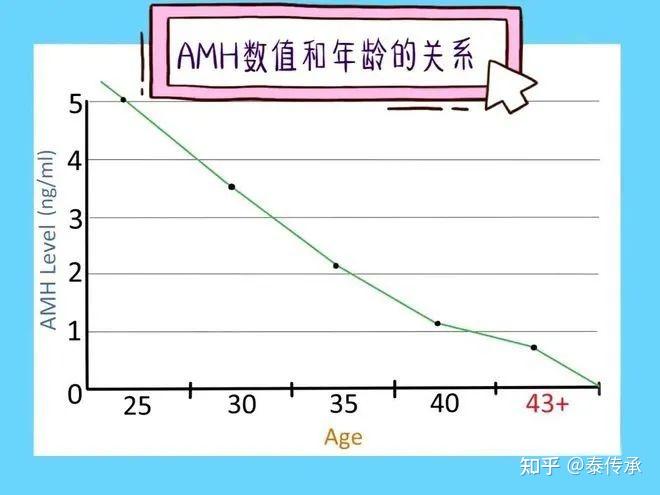 什么是AMH？有哪些作用？一文教你看懂 - 知乎