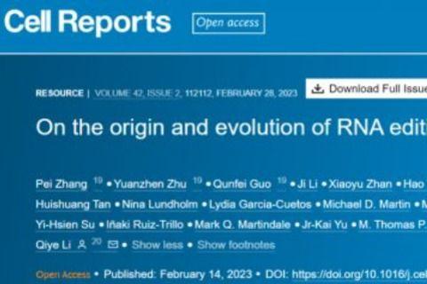 Cell Reports | 揭示动物界RNA编辑机制的起源和演化过程 - 知乎