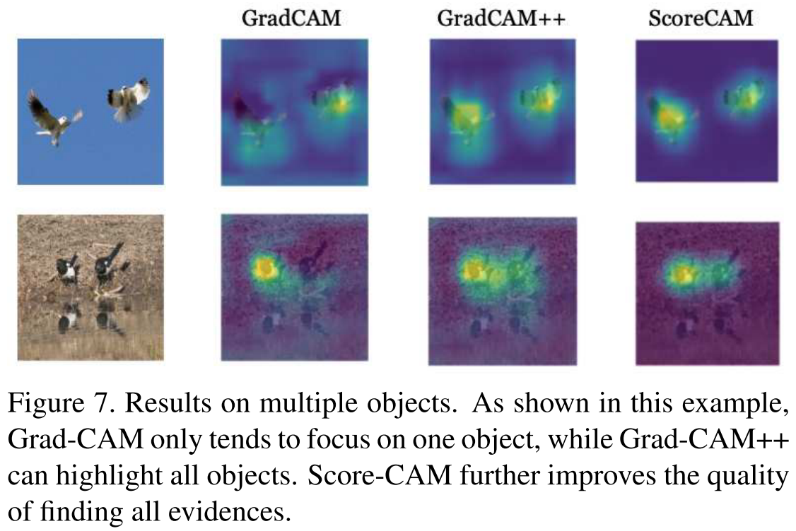 Score-CAM: Score-Weighted Visual Explanations for Convolutional Neural ...