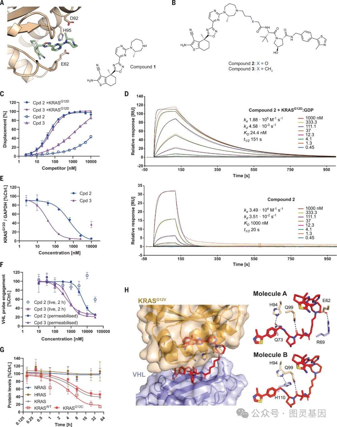 Science | KRAS新突破！小分子泛KRAS降解剂的抗癌潜力 - 知乎