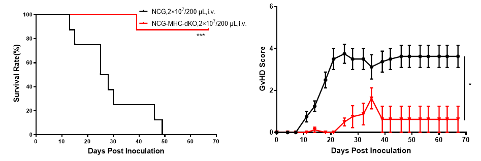 研究移植物抗宿主病GvHD的发病机制有力的工具——NCG-MHC-dKO小鼠模型 - 知乎