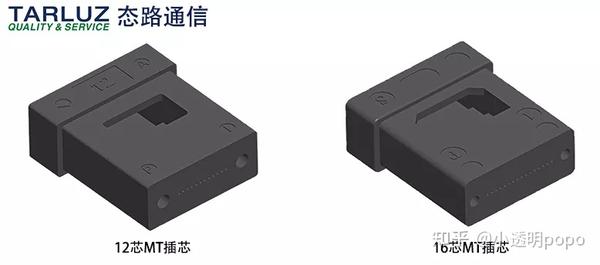 态路小课堂丨MPO/MTP-16光纤跳线 - 知乎