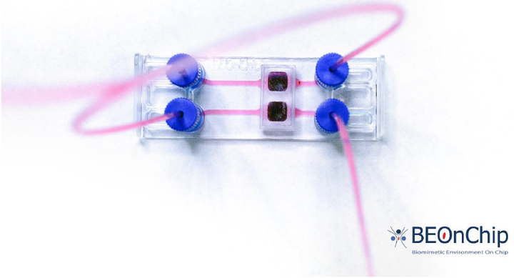 点成分享 | 选择点成BEOnChip芯片的六大理由 - 知乎