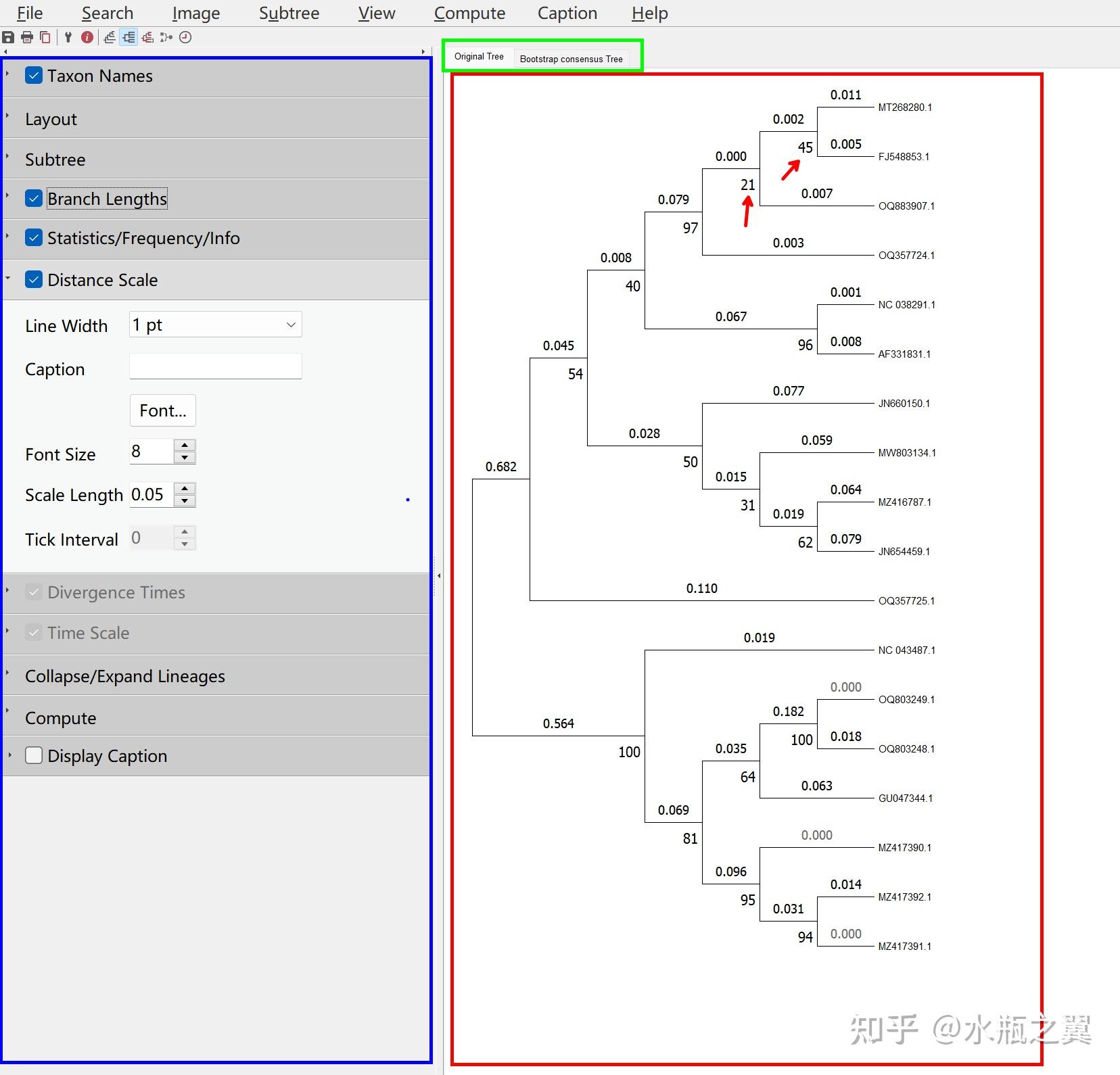手把手教你绘制进化树（理论与实践） - 知乎