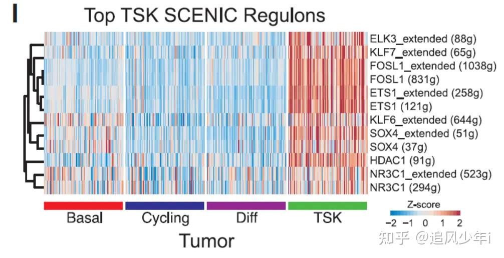 10X单细胞（10X空间转录组）数据分析之转录因子的分析方法与解读 - 知乎