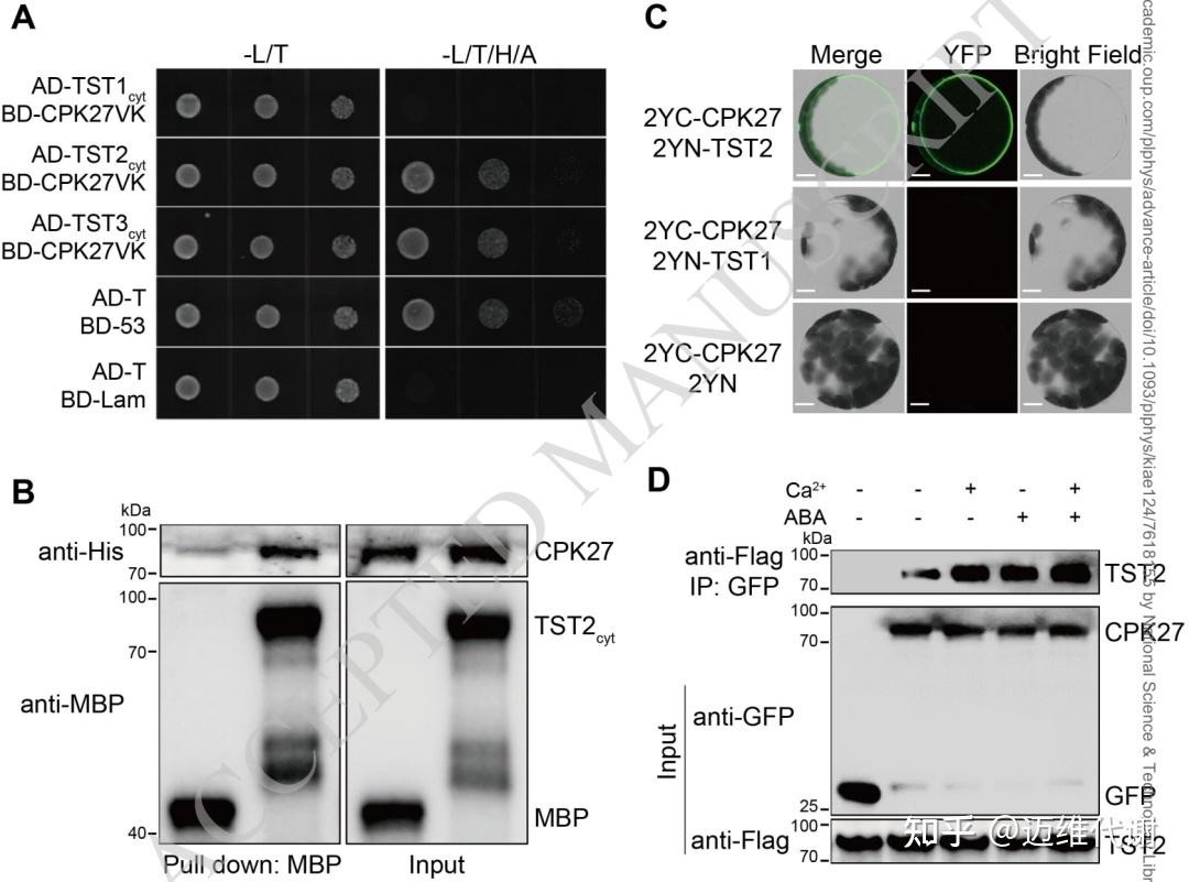Plant Physiol | 浙江大学胡璋健团队番茄抗旱机制研究新进展 - 知乎