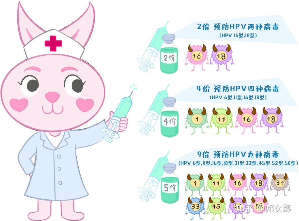 接种hpv疫苗期间怀孕了怎么办？ 知乎