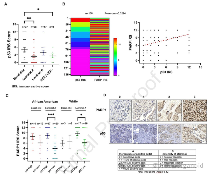 文献解读|p53突变的肿瘤类器官对PARP抑制剂联合治疗具有协同作用 - 知乎