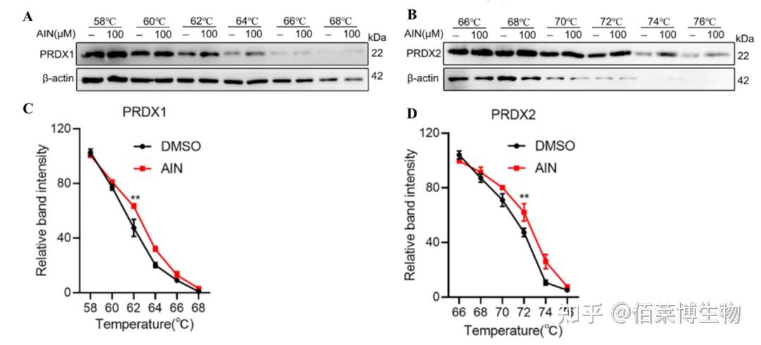 蛋白与药物互作专题八：免纯化微量热泳动 (MST) 和细胞热迁移 (CETSA) 在分子互作中的应用 - 知乎