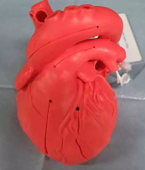 日本将用喷墨技术批量生产3D打印心脏模型 - 知乎