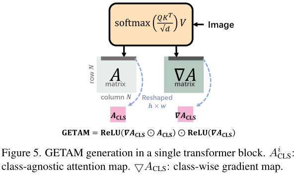 【论文阅读】《GETAM: Gradient-weighted Element-wise Transformer Attention Map for WSSS》 - 知乎