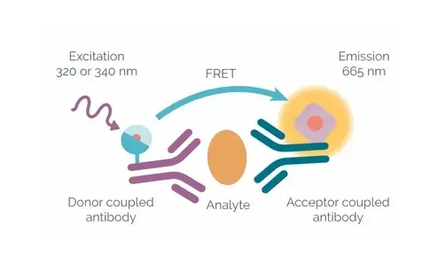 实验秘籍 | 瑞孚迪「HTRF技术」：给你的实验叠个BUFF！ - 知乎