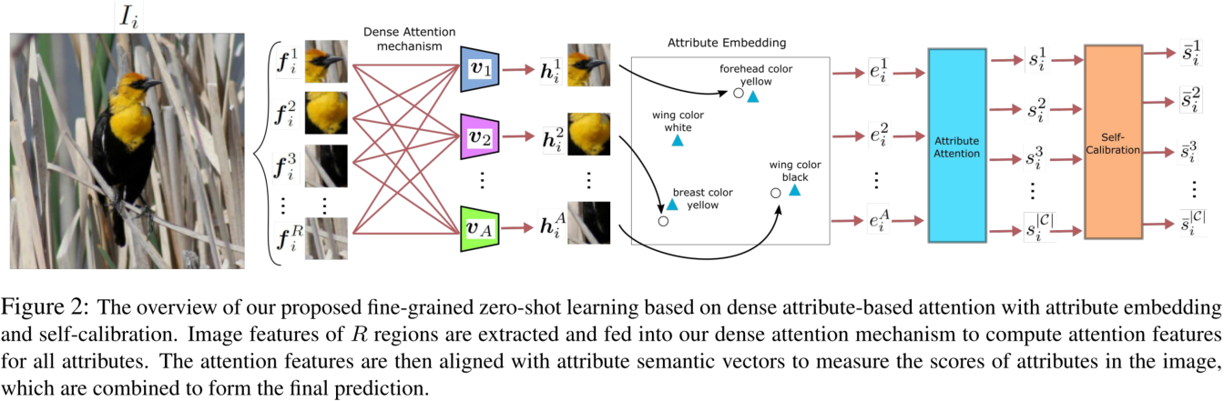 Fine-Grained Generalized Zero-Shot Learning via Dense Attribute-Based Attention（CVPR 2020） - 知乎