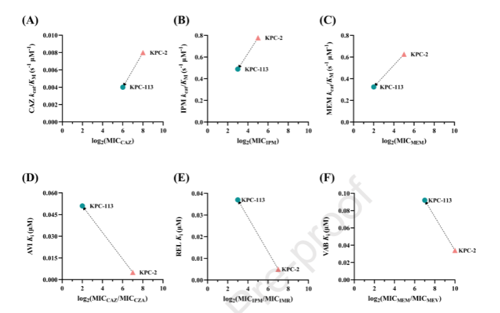 急思广益| 一种新型KPC-113变体可介导MDR-PA对碳青霉烯类和头孢他啶-阿维巴坦耐药 - 知乎