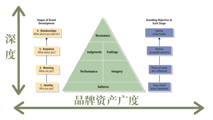 Customer-based brand equity (CBBE) 消费者品牌资产模型 - 知乎