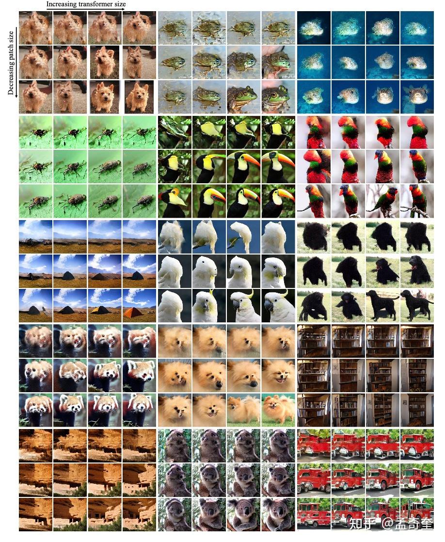 可扩展的transformer扩散模型（Scalable Diffusion Models with Transformers）（三） - 知乎