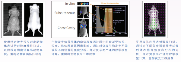 IVIS Spectrum CT成像系统——一切显而易见 - 知乎