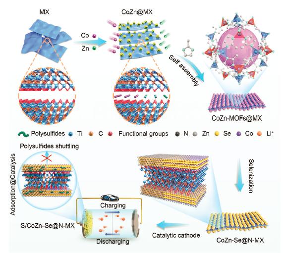 AM：MOF/MXene自组装异质结，促进多硫化锂转化反应 - 知乎