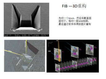 用于材料定点剖面形貌和成分表征--FIB-SEM - 知乎